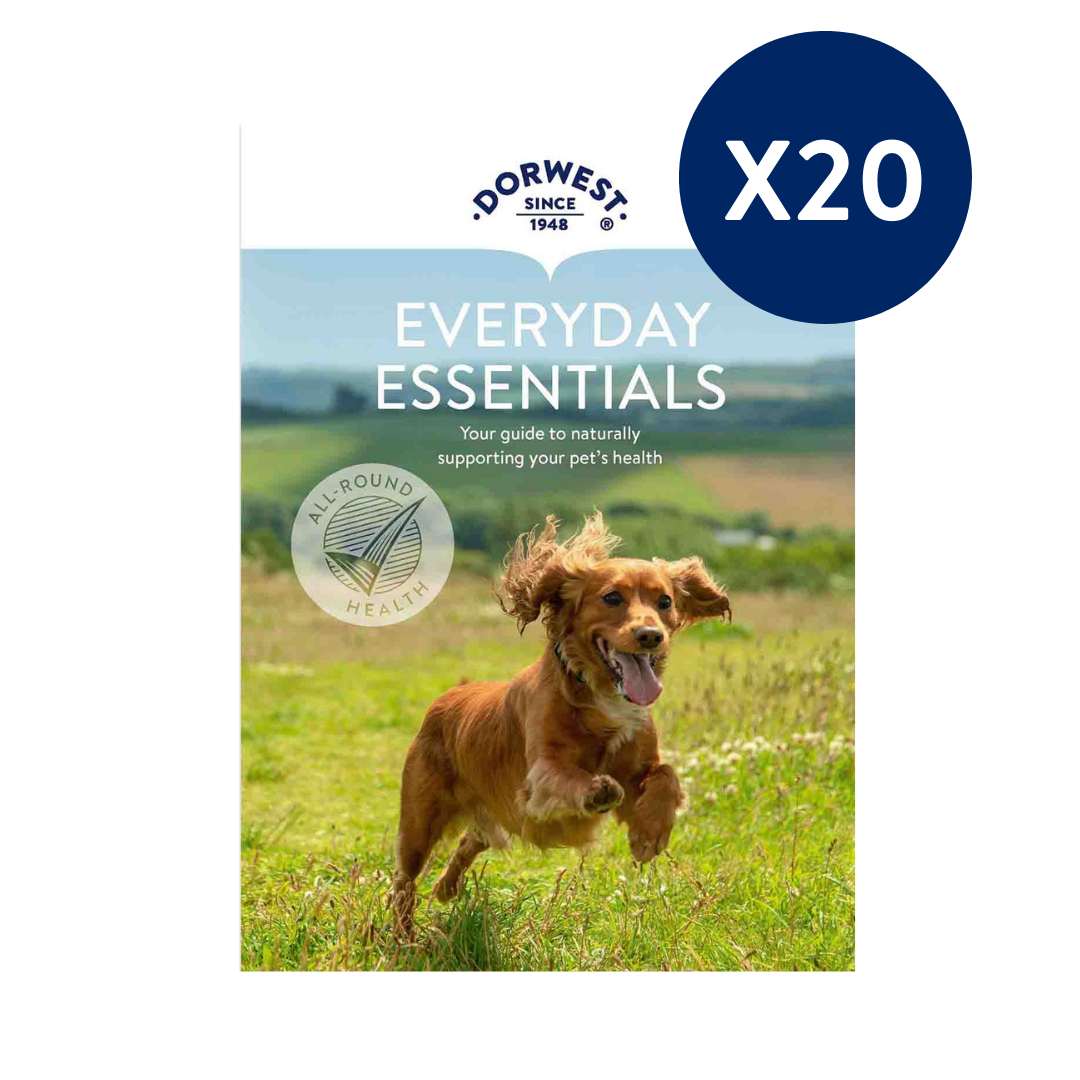 Everyday Essentials Leaflets - 20 Pack – Dorwest Trade